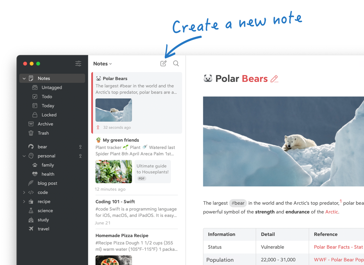 Get started with Bear